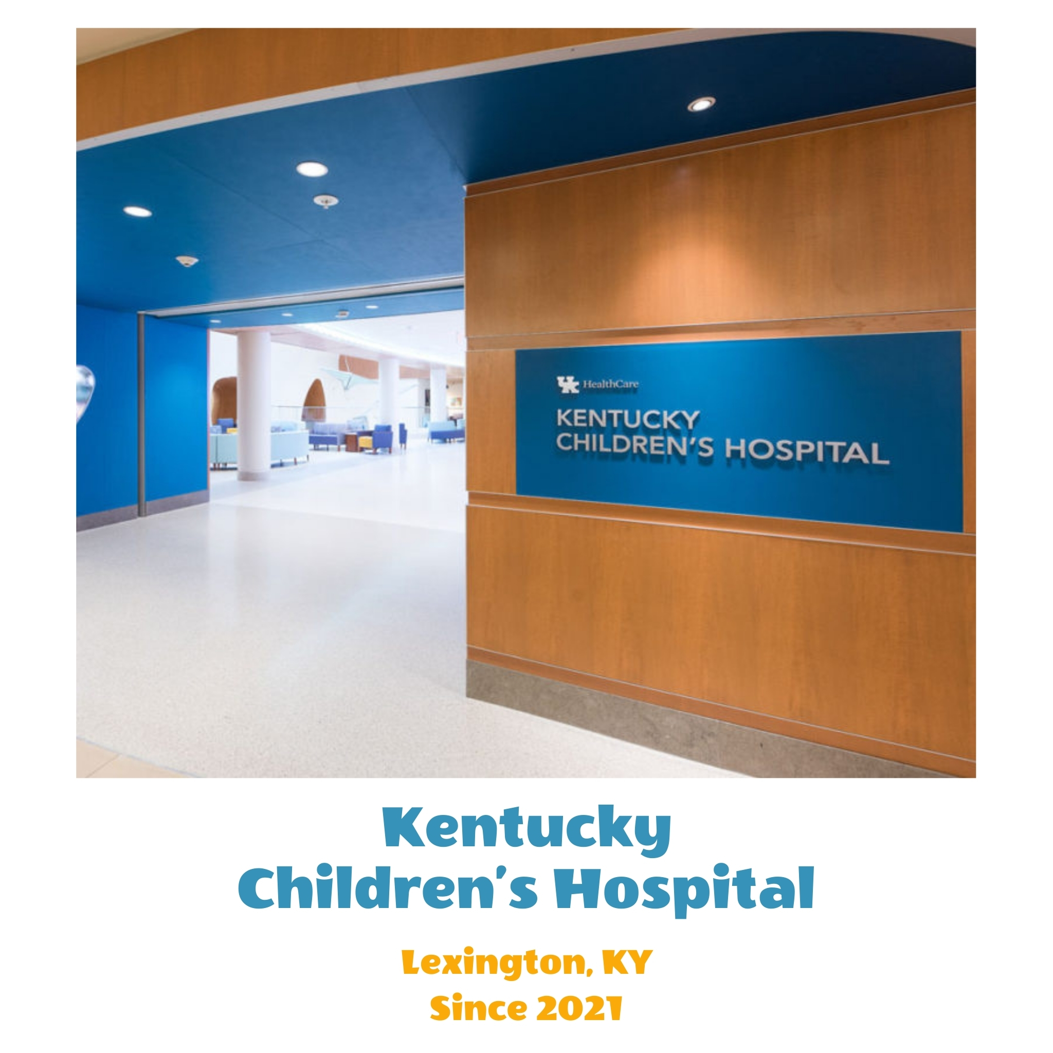Hospital Partners - Connecting Champions